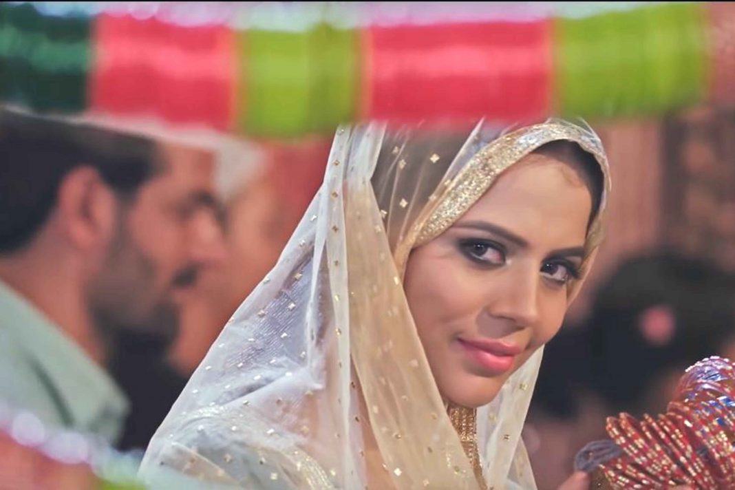 ‘Nilami’: A Love Story Tested by Places and Times - NewZNew