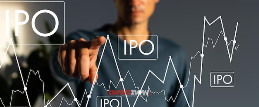 IPO investment: How to spot high-growth potential - NewZNew